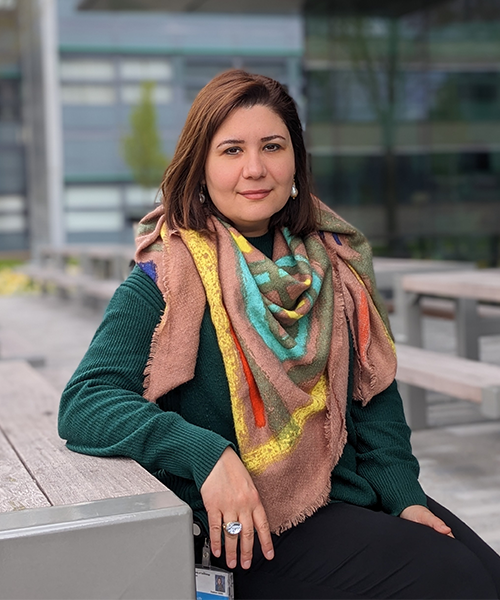 About the SINERGI project – SINERGI